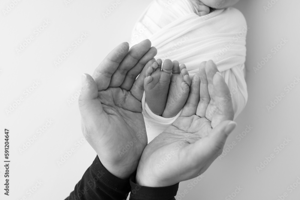 Black and white shade beautiful shape hands of mother, hold tiny ...