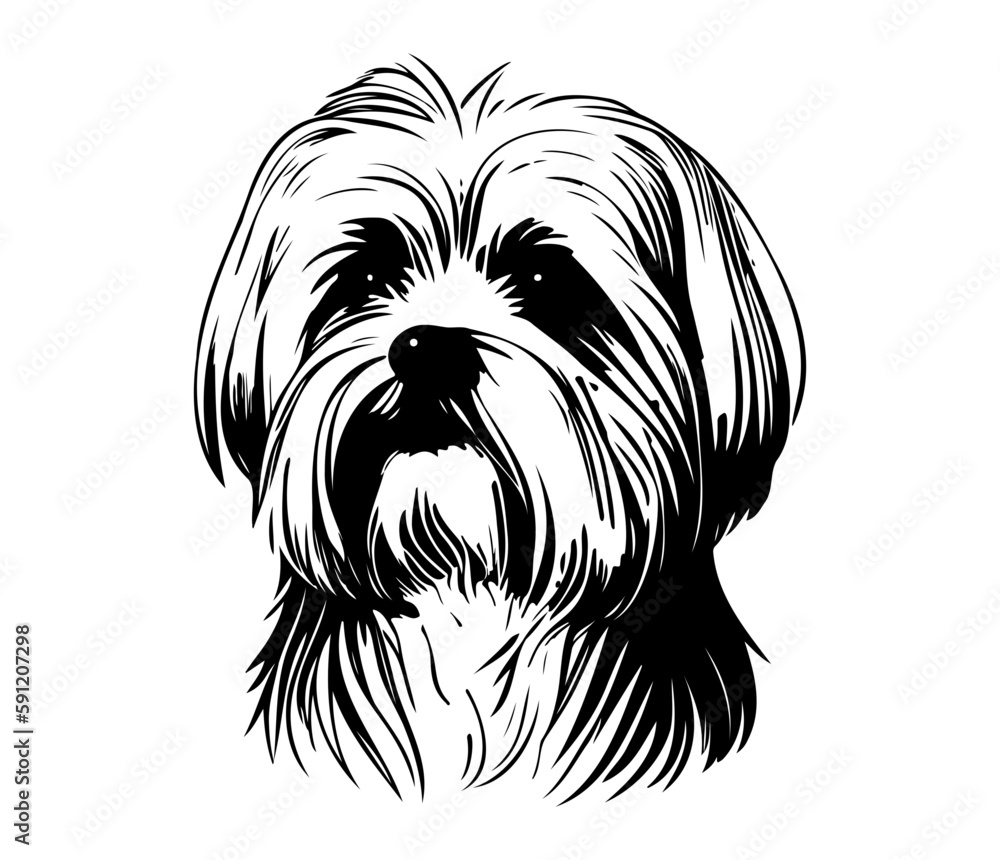 Maltese, Silhouettes Dog Face SVG, black and white Maltese vector Stock ...