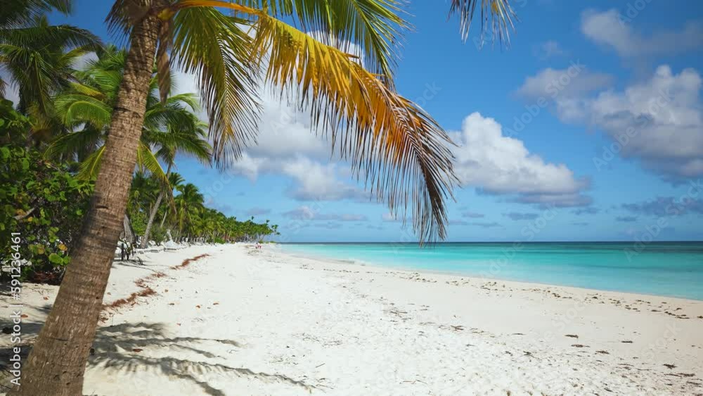 Sea beach of Narkel island Gingira with bright palm trees Turquoise ...