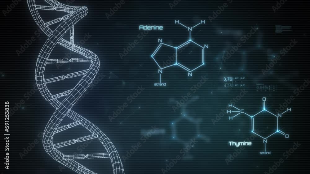 Animated Model of DNA Molecule. Concept Animation of Digital DNA, Human ...
