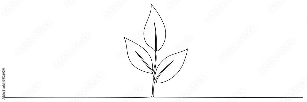 Leaves continuous line drawing. Plant branch one line art. Vector ...