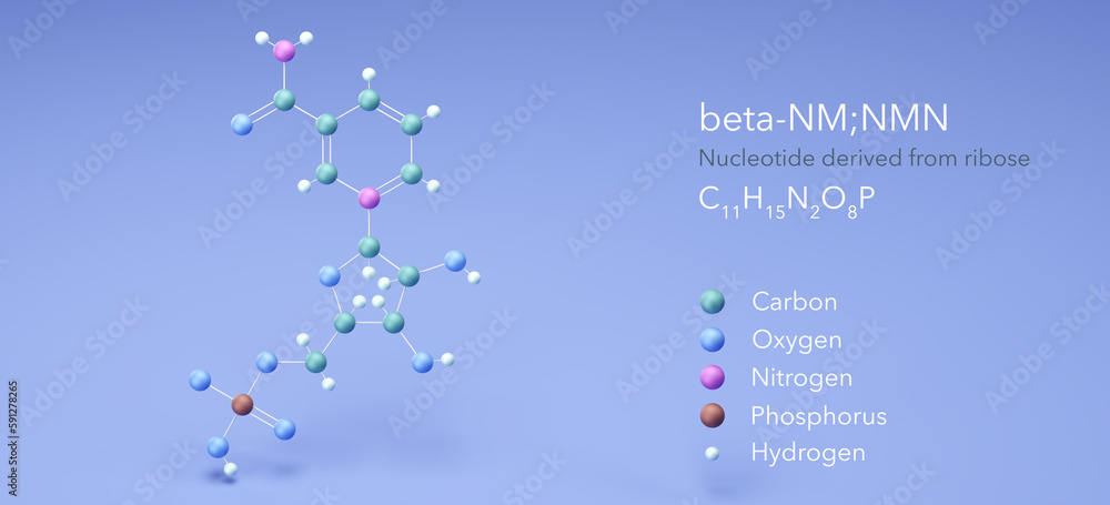 beta-nm molecule, molecular structures, nicotinamide mononucleotide, 3d ...