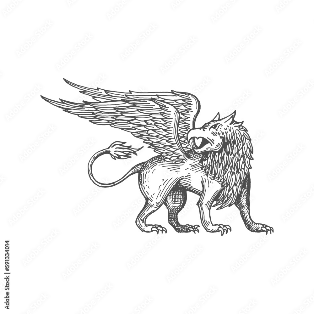 Griffin mythology creature with eagle head, lion body and eagle wings ...