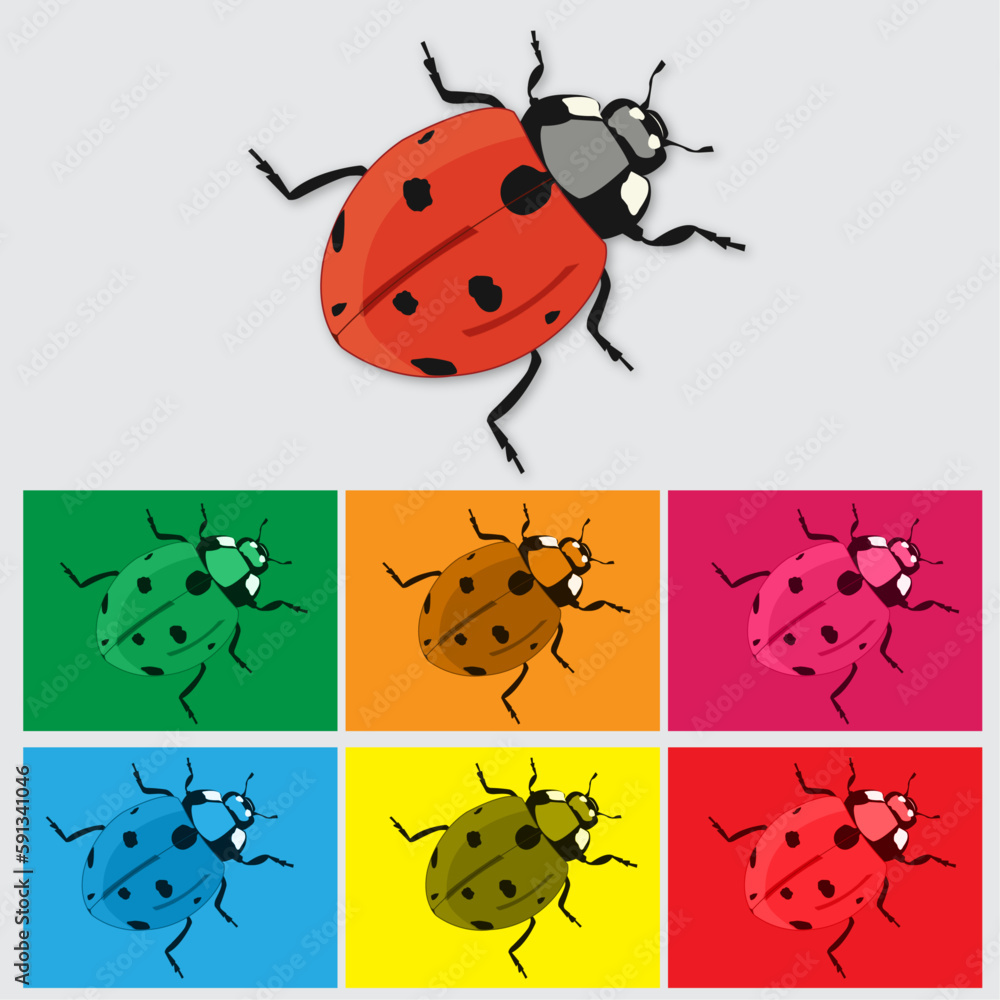 Vector ladybug with transparent background for more control and ...
