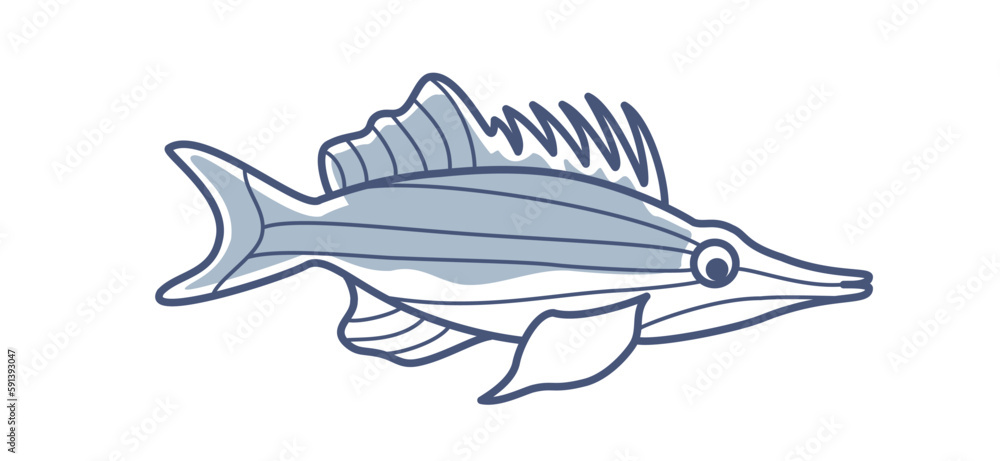 Vector outlineline illustration of sea fish longnose hawkfish with ...