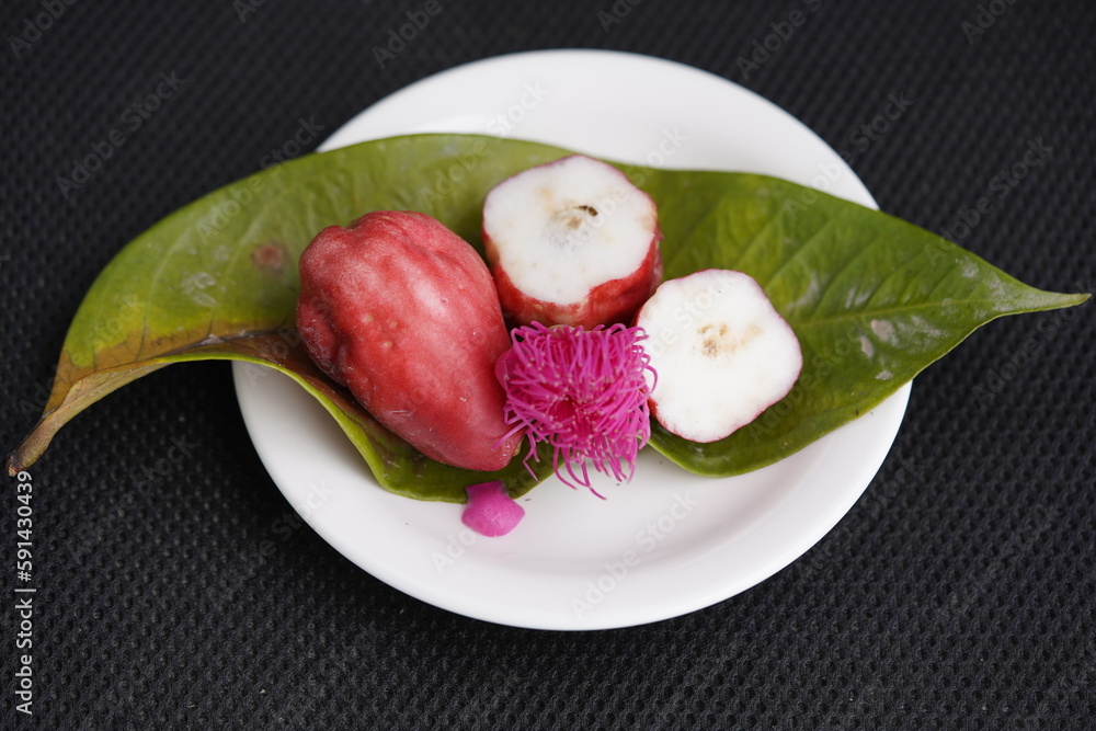 Malay rose apple (Syzygium malaccense ) Myrtaceae family, Amazon ...