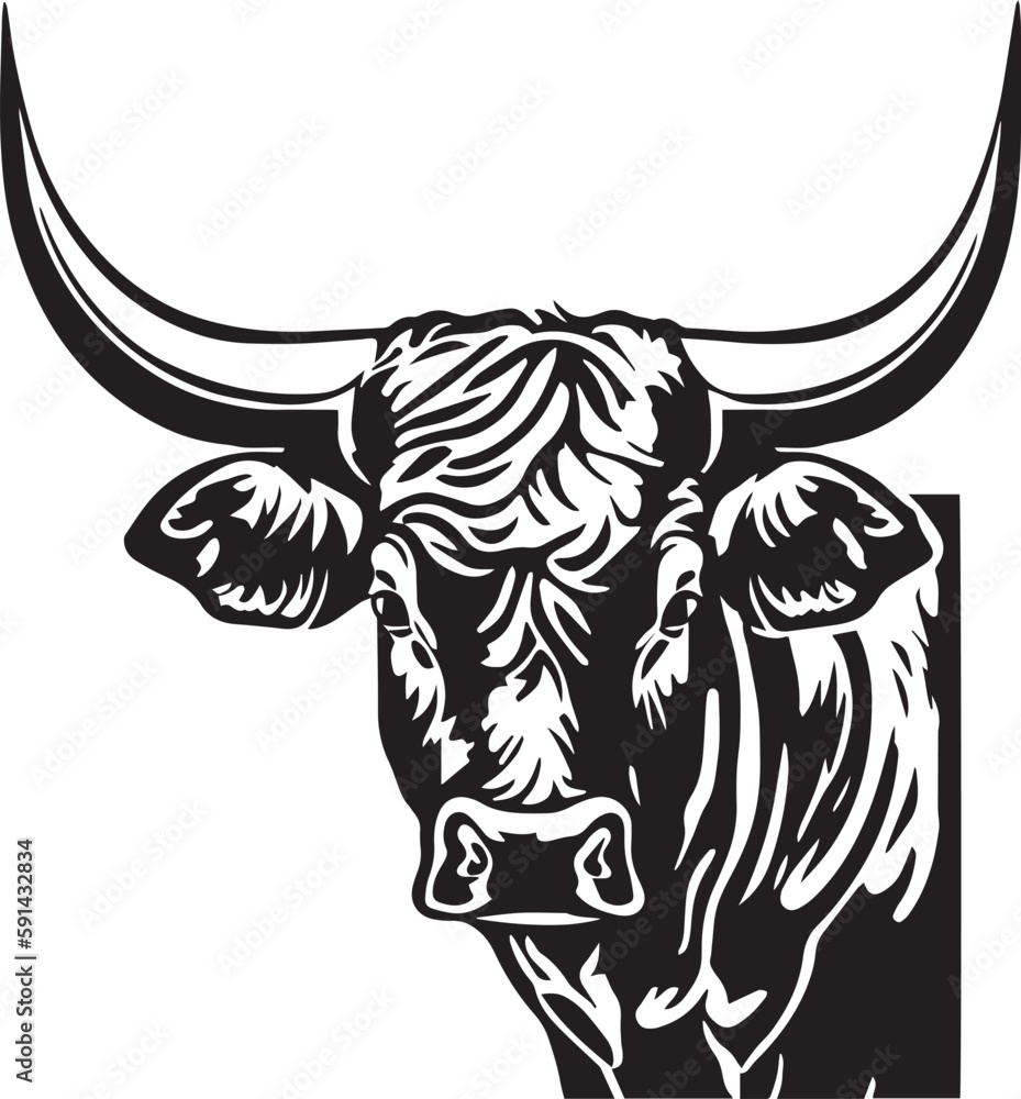 Fotografía Cow head, Indian cow head, Vector Illustration, SVG, Dmytro ...