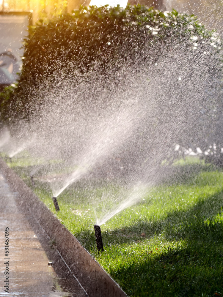 Vertical image of the operation of an automatic lawn watering system on ...
