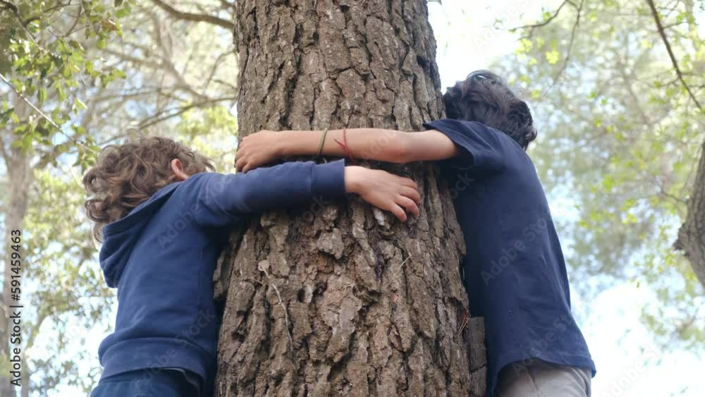 Happy childs hugs a tree with his hands. Forest environment. Man's love ...