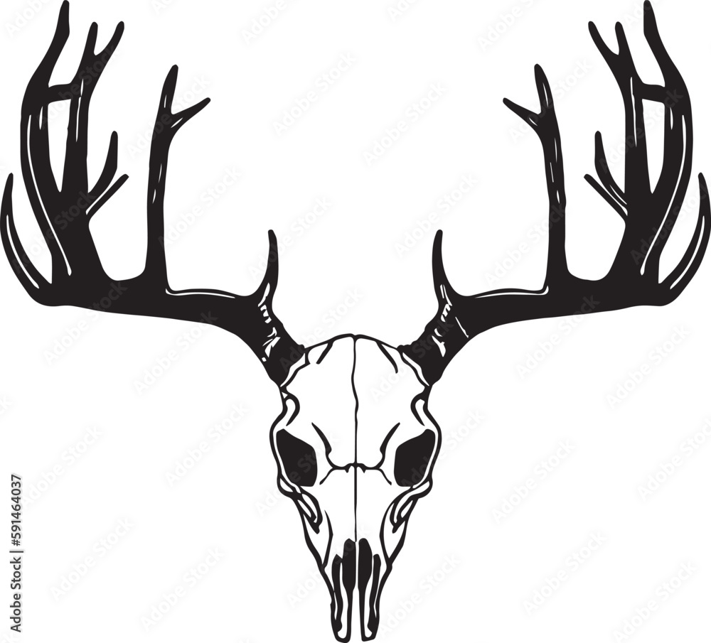 Deer Skull Vector illustration, SVG Stock Vector | Adobe Stock