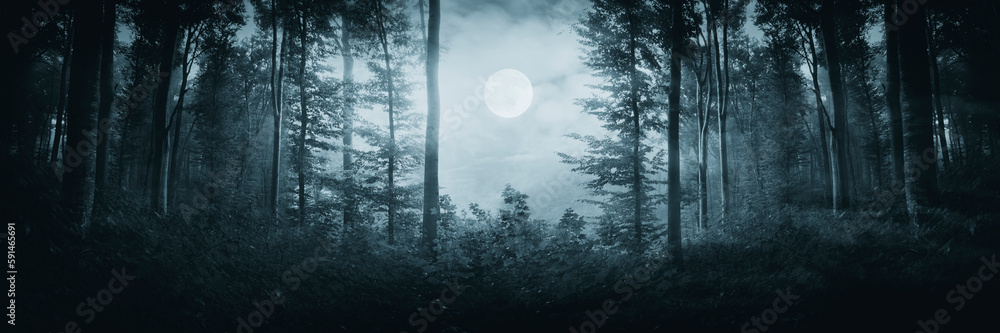 full moon in dark woods at night, fantasy forest panorama Stock ...