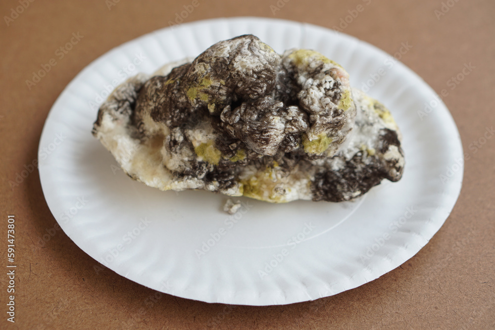 Closeup sticky rice covered with fungus, bacteria and germs, spoiled ...