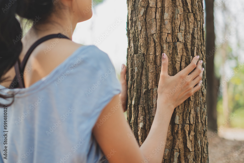 Female is touching a trunk of a tree, concept of feel the nature ...