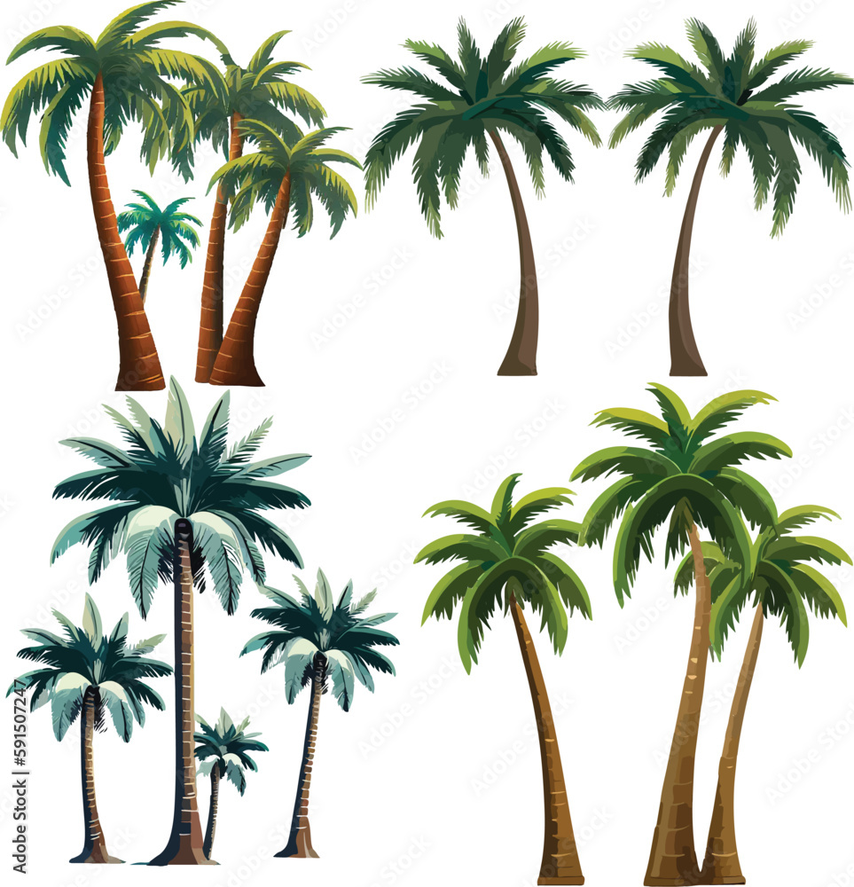 Vetor de different variant palm tree collection vector illustration ...