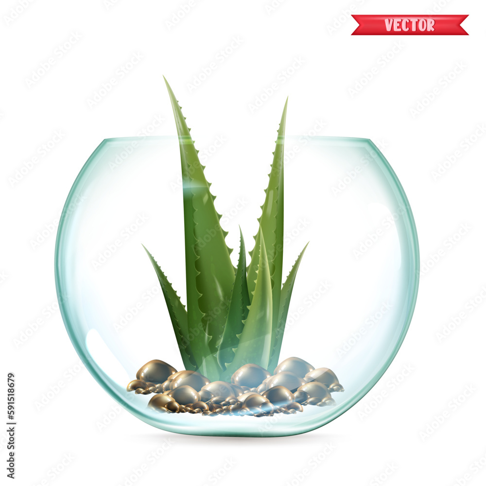 Green succulent plant in beige flowerpot 3D realistic tree front view ...