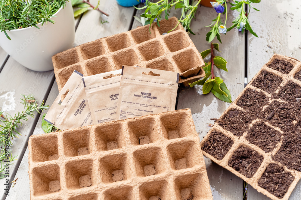 Biodegradable paper plant seed starter pot tray with flower seeds ready ...