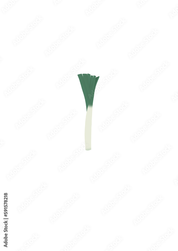 leek, illustration of a hand-drawn leek. Minimalist drawing of a ...