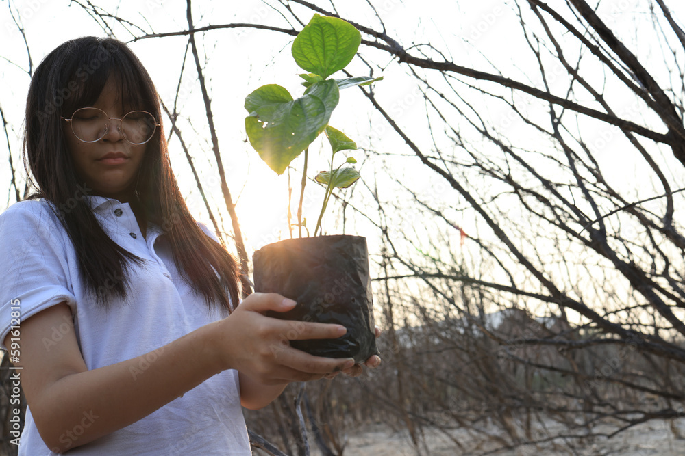 Little girl hold young tree for CSR planting at dry forest ,Young girl ...