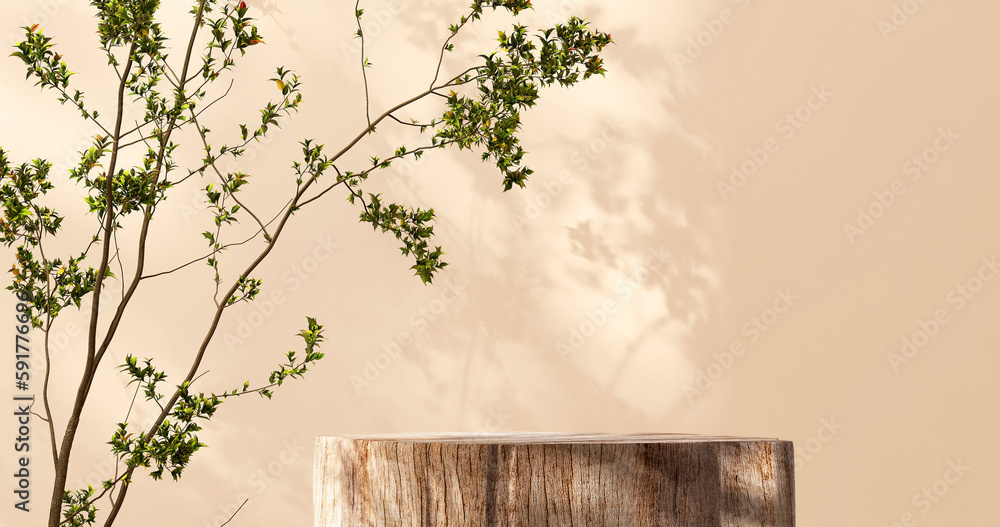 Minimal, natural log wood podium table, tropical tree in dappled ...