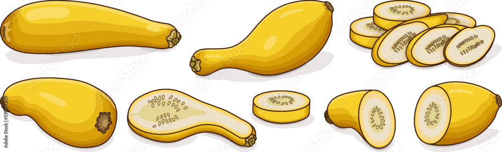 Set with whole, half, quarter, slices of Crookneck Yellow Squash ...
