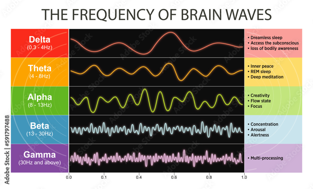 Different kinds of waveforms are produced by brain activity ...