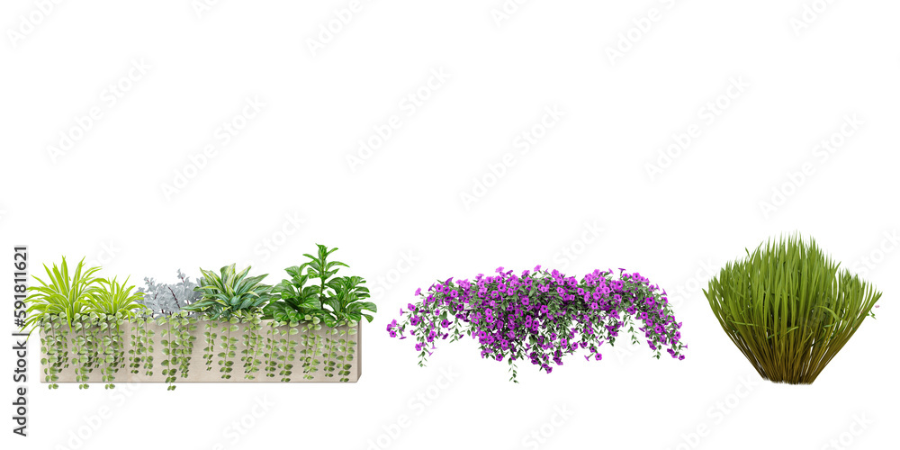 Set of Transparent Flower & plant, Stunning Cut-Out Flower & Plant ...