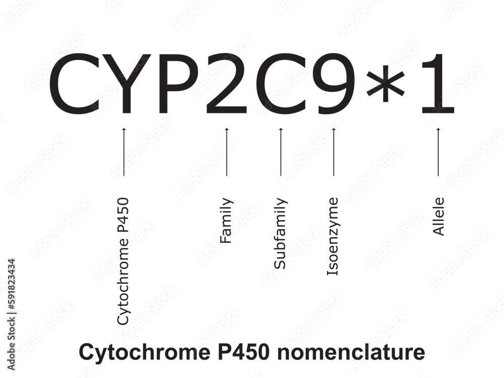 Vetor de Cytochrome P450 CYP2C9 nomenclature diagram showing family ...