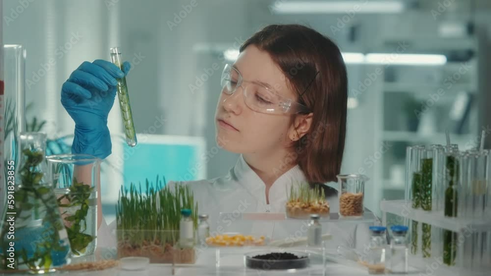 Female biologist in a white gown and goggles takes a test tube of grown ...