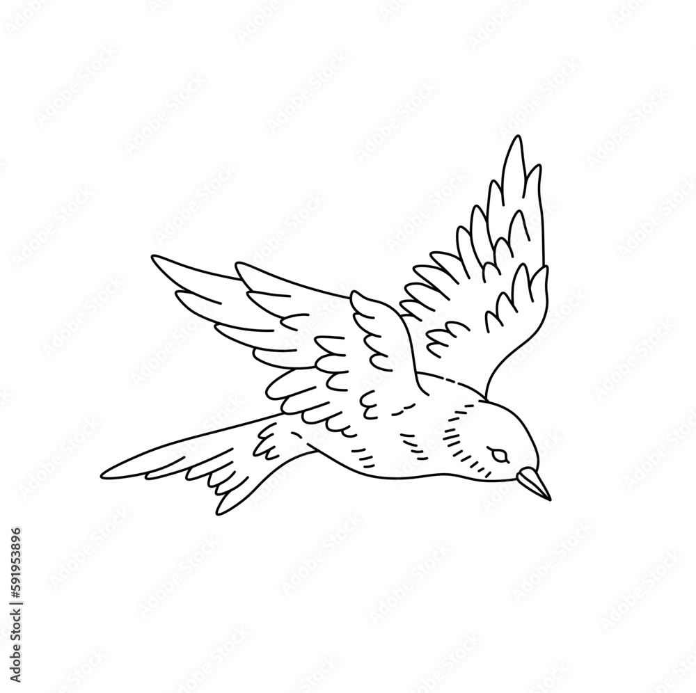 Vector isolated one single flying bird side view colorless black and ...
