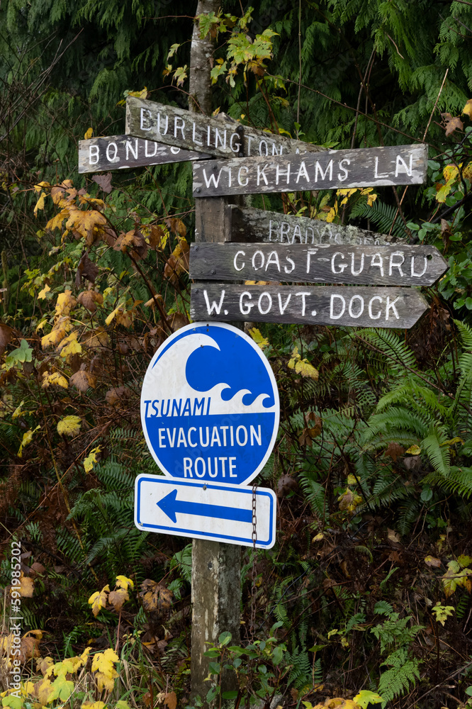 Signpost with landmark and Tsunami Evacuation route signs in Bamfield ...