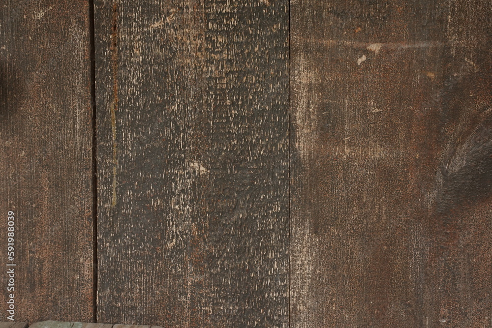 Texture using wood bark as a natural background. Background surface of ...