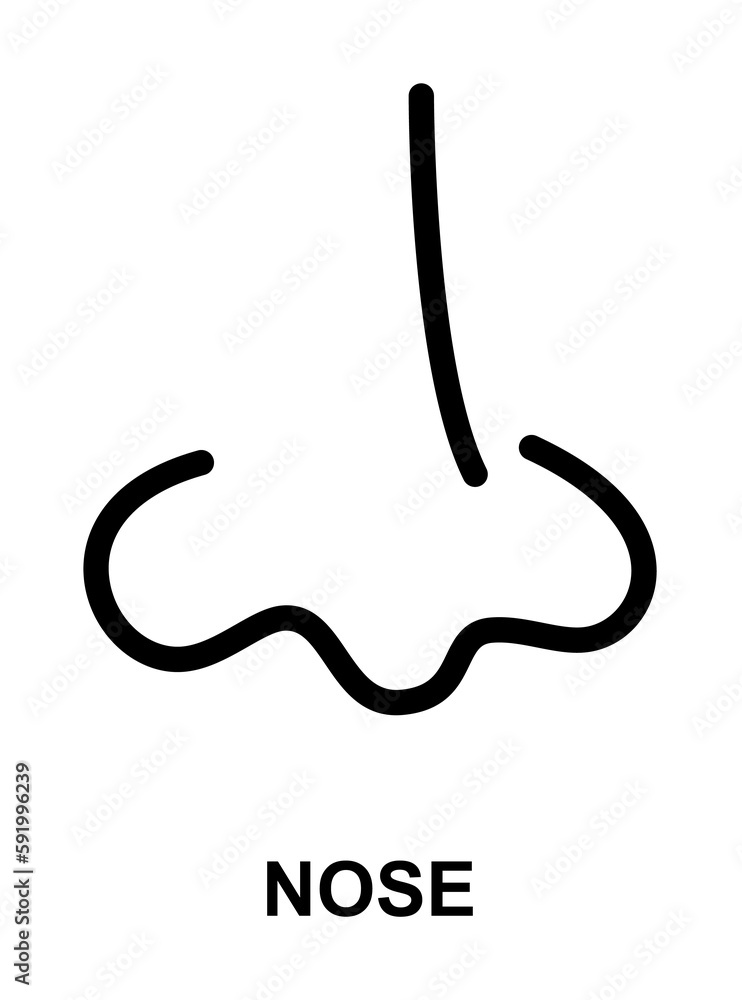human nose simple line on white background icon illustration on ...