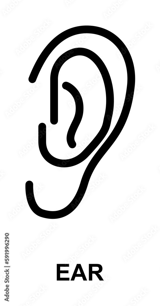 human ear simple line on white background icon illustration on ...