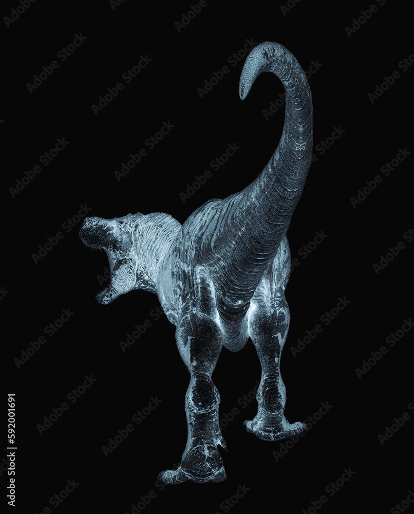 tyrannosaurus rex is walking like a king in white background rear view ...