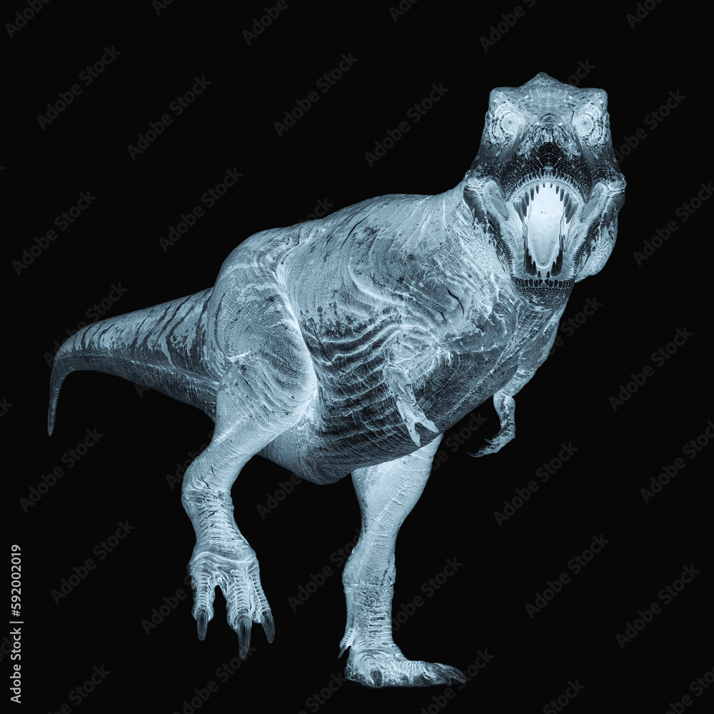tyrannosaurus rex is walking and staring you in white background Stock ...