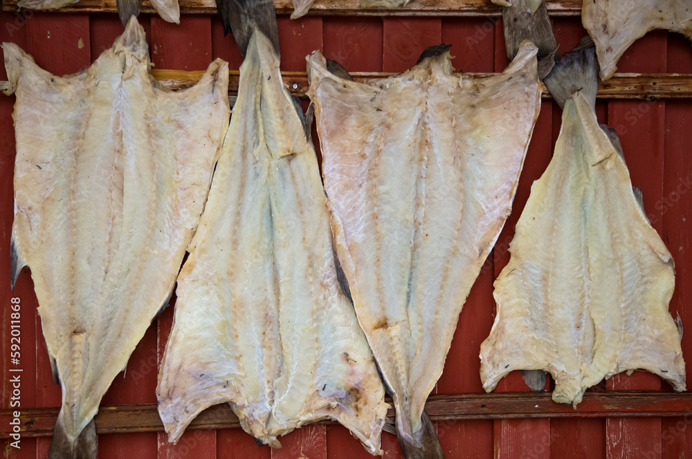 Drying cod in a fishing village in Norway; Lofoten Islands, Norway ...
