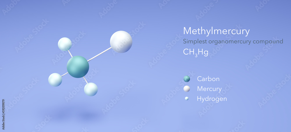 methylmercury molecule, molecular structures, methyl mercury, 3d model ...