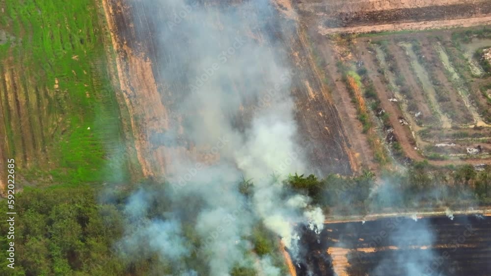 Burning fires in agricultural areas can significantly impact air ...