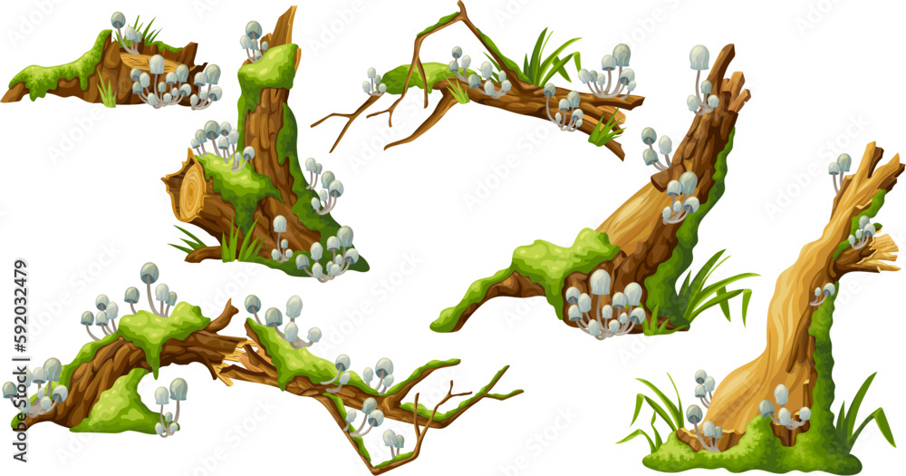 Mushrooms, moss on logs. Cartoon stump in toadstools in swamp forest ...