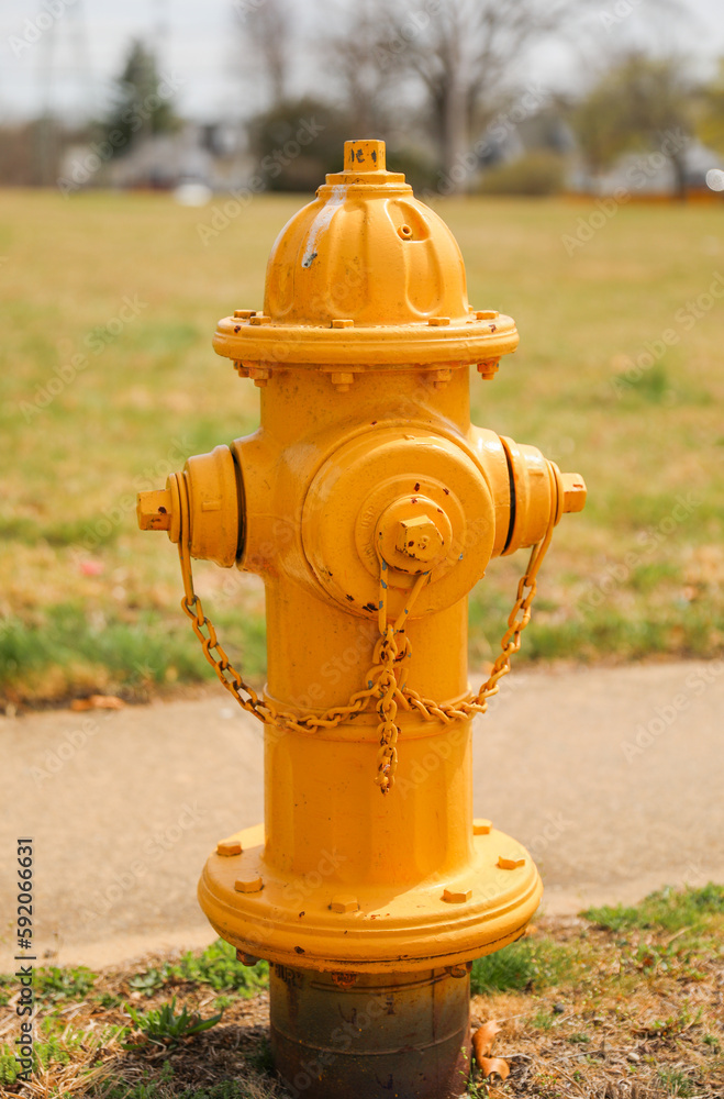 fire hydrant on a street corner, symbolizing the crucial role it plays ...