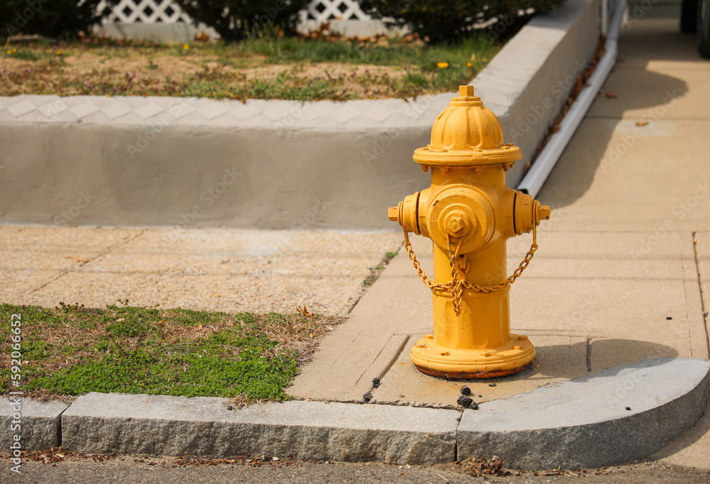 fire hydrant on a street corner, symbolizing the crucial role it plays ...