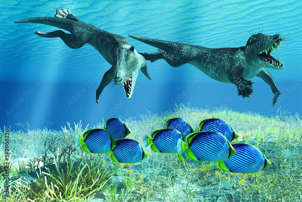 Poster Ambulocetus hunting Black-backed Butterflyfish - Ambulocetus was ...