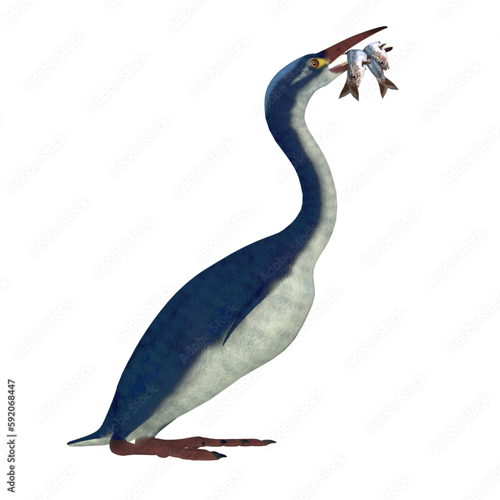 Hesperornis Bird catches Fish - Hesperornis is a genus of flightless ...