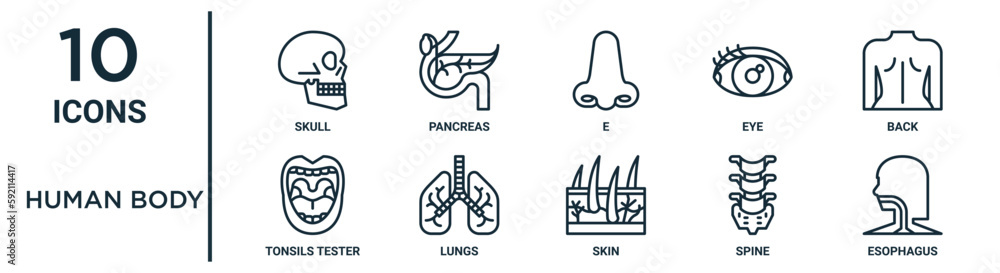 Vecteur Stock human body outline icon set includes thin line skull, e ...