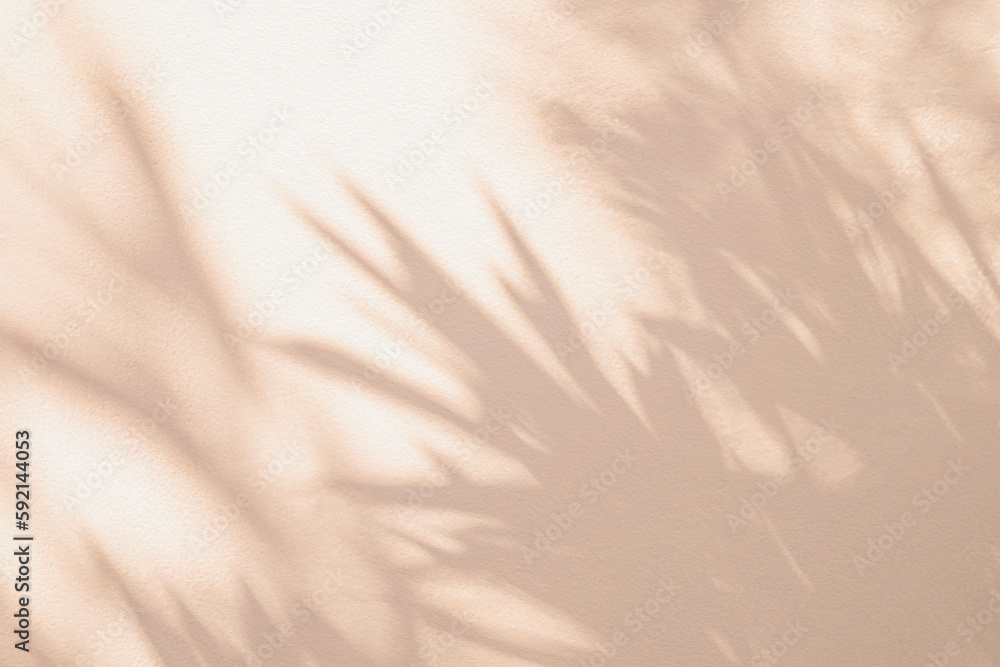 Leaf shadow and light on wall pink pastel background. Nature tropical ...