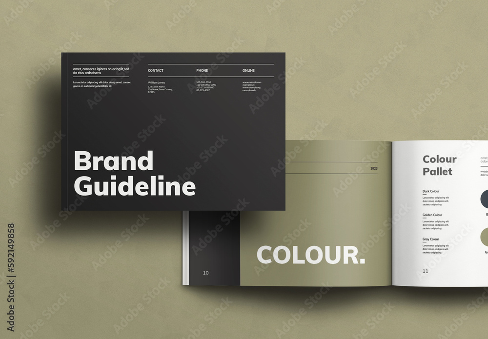 Brand Guideline Layout Stock Template | Adobe Stock