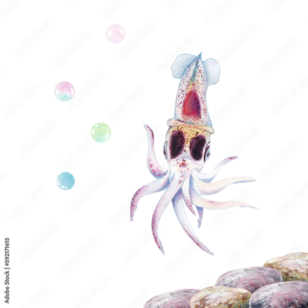 Composition of watercolor illustrations of squid, stones and bubbles on ...