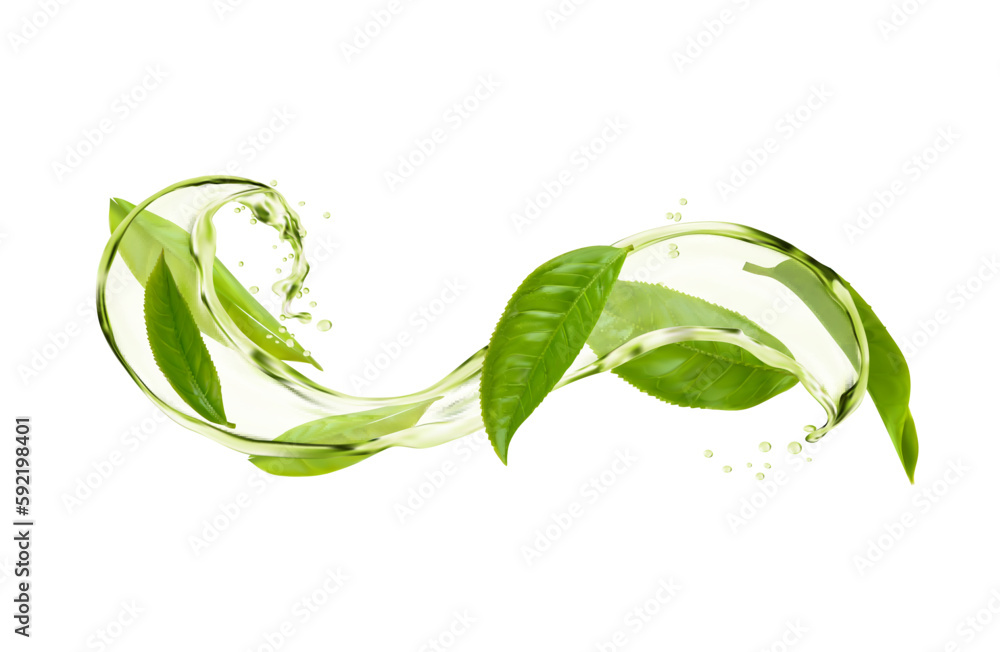 Herbal tea drink wave splash with green leaves and water flow. Vector ...