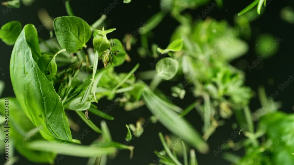 Super slow motion of rotating fresh herbs on black background. Ultimate ...