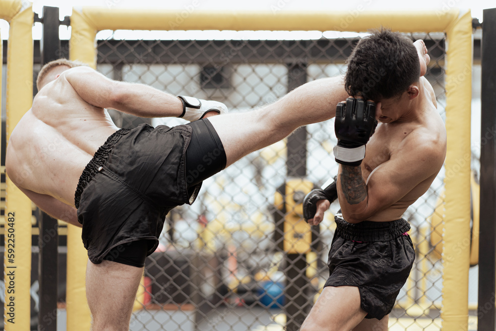 Professional boxers with glove fighting in competition match. Young ...